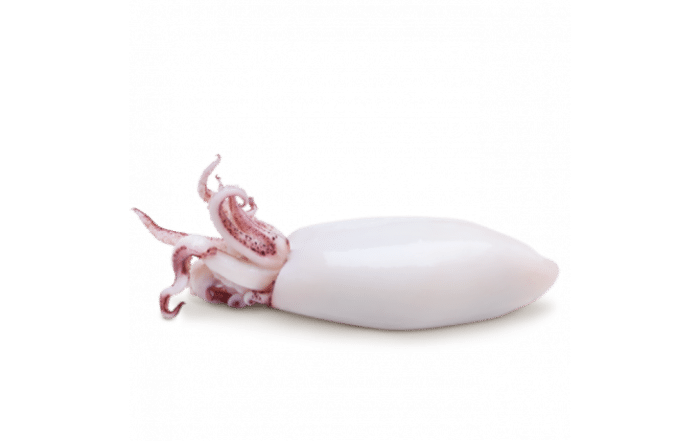 ¡Ey, chipirón! – 1001 Reasons To Learn Spanish