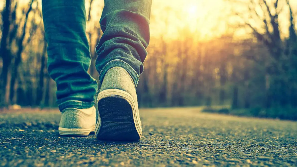 Vamos de paseo – 1001 Reasons To Learn Spanish