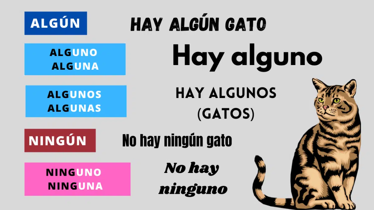 Alguno, algún, ninguno, ningún… – 1001 Reasons To Learn Spanish